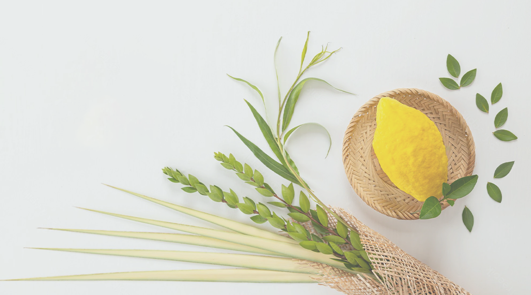 How to Tie the Lulav & Arba Minim: Halacha + Customs Explained – Sieger ...